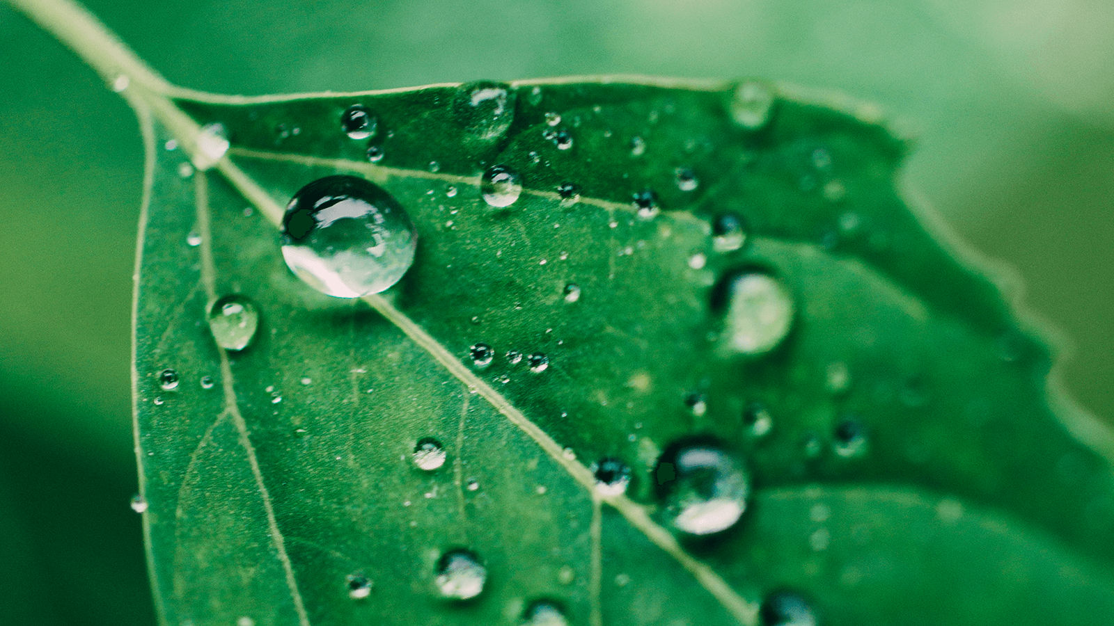 HeiQ X-Repell | Water Repellent Fabric Technology